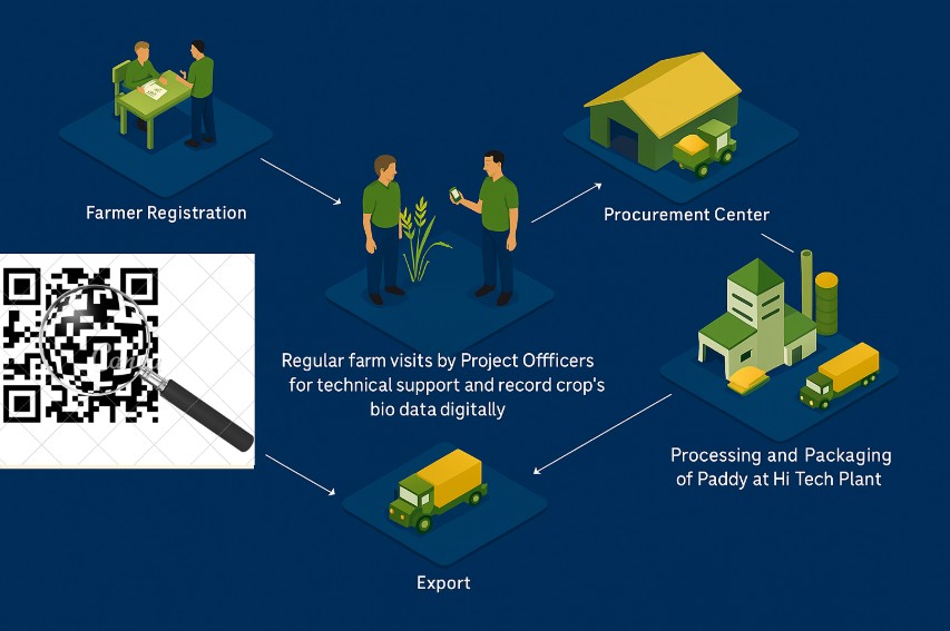 Home [www.tracerice.com]